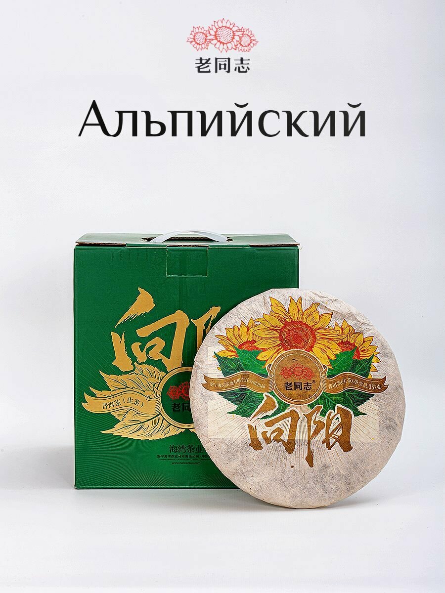 Шен пуэр Альпийский Хайвань 2024 Lao Tong Zhi 357гр