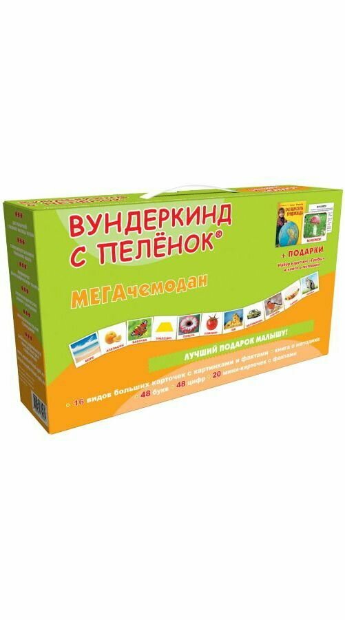 Подарочный набор обучающих карточек Вундеркинд с пеленок "Мегачемодан" + набор "Грибы" + книга, карточки Домана, мега чемодан