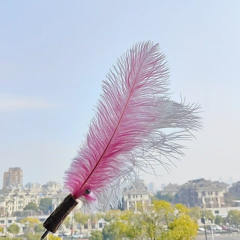 Кошачья игрушка супер-длинный стек с куриным хвостом/страусиные перья. Замена головы страусиных перьев, порошок + белый