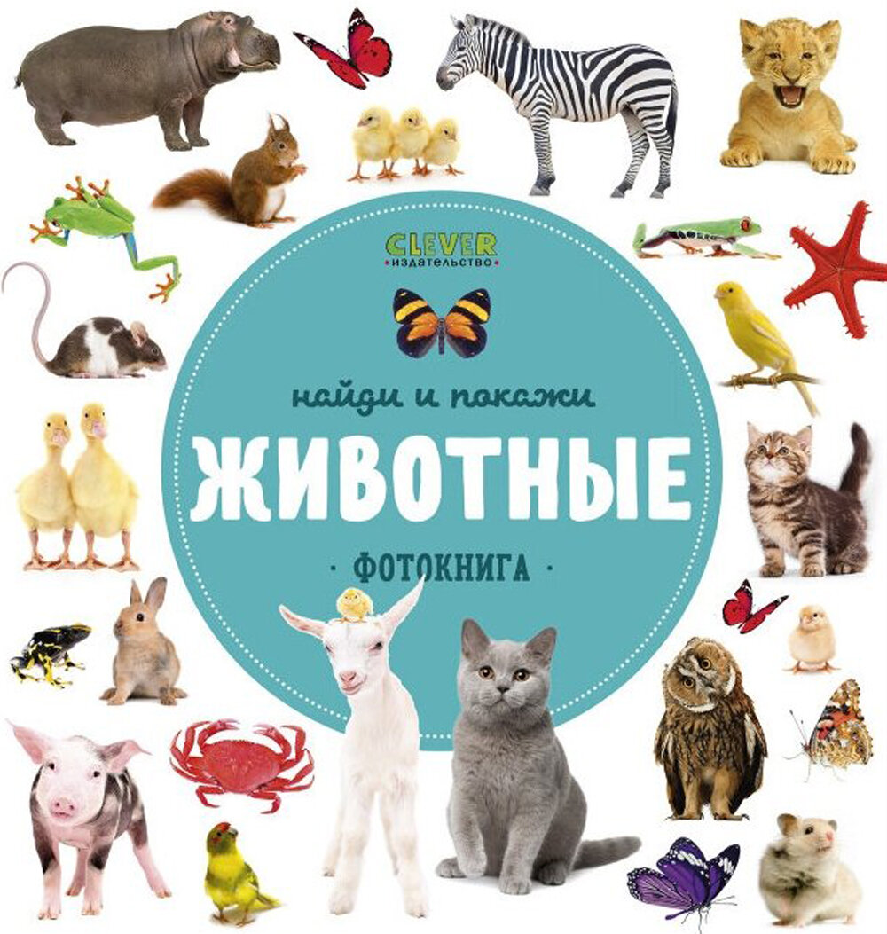 Найди и покажи. Животные. Фотокнига. .