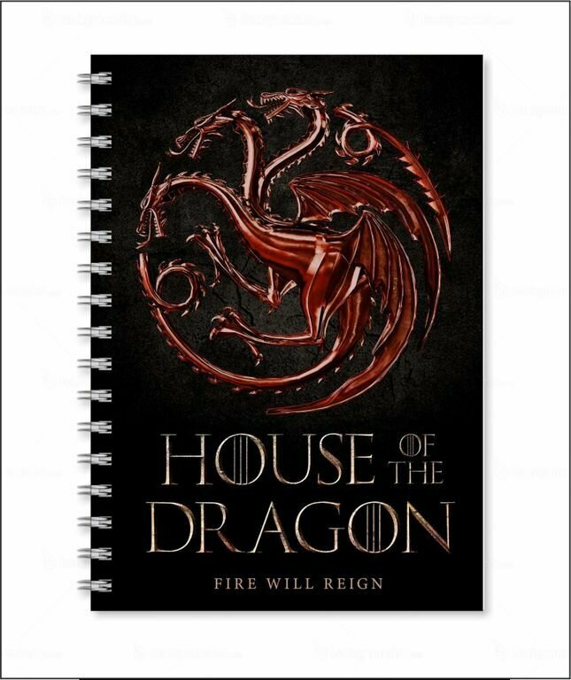 Тетрадь Дом Дракона, House of the Dragon №9