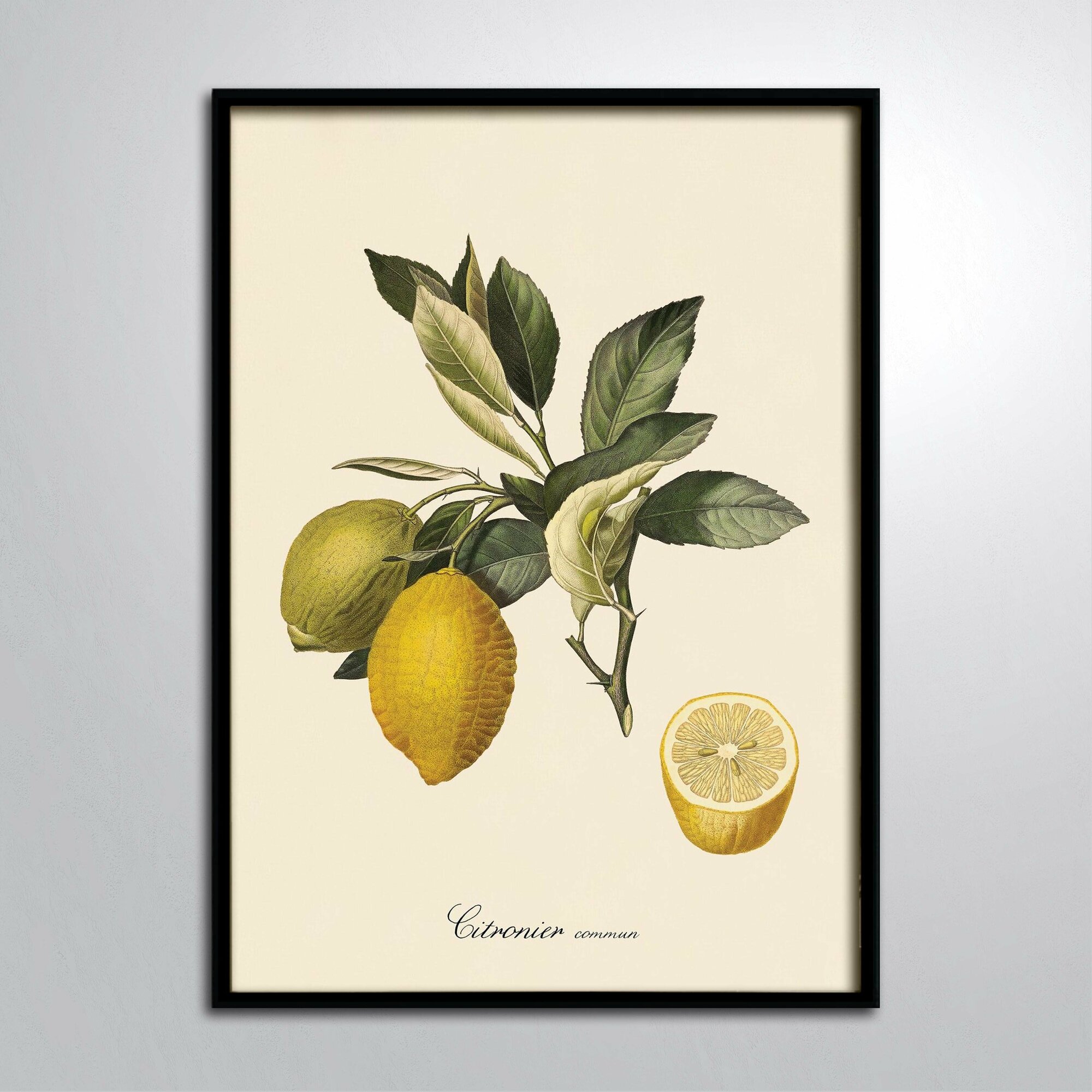 Постер без рамы/Постер для интерьера/Абстракция Современное искусство Акварель Лемон