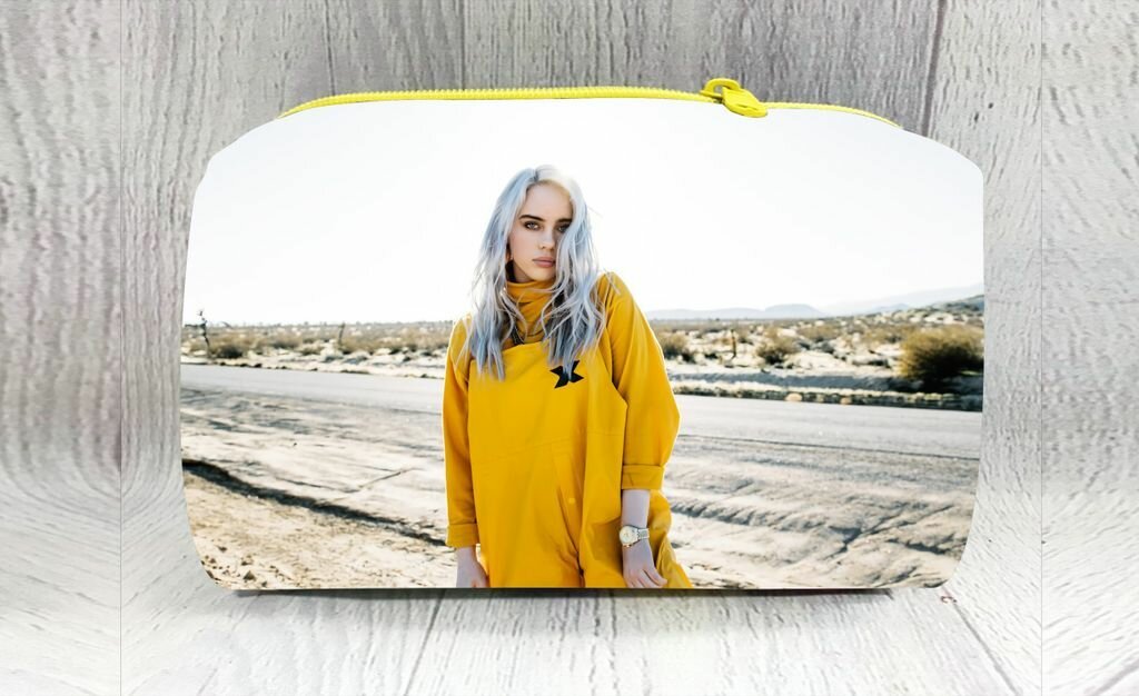 Пенал горизонтальный Билли Айлиш, Billie Eilish №5