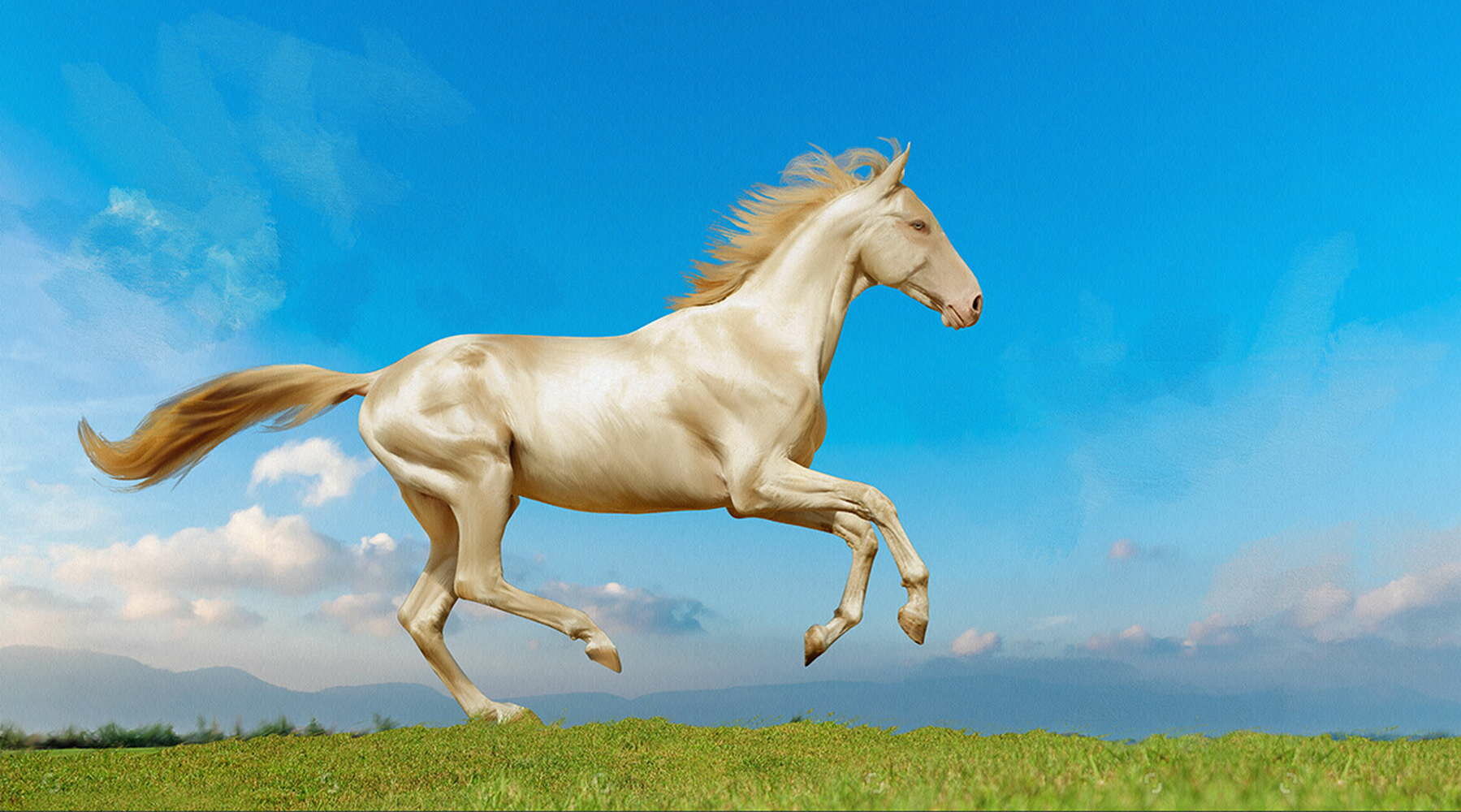 Супермоющиеся антивандальные фотообои Антимаркер, Ахалтекинский конь, 2-A-2015, 270х150 см