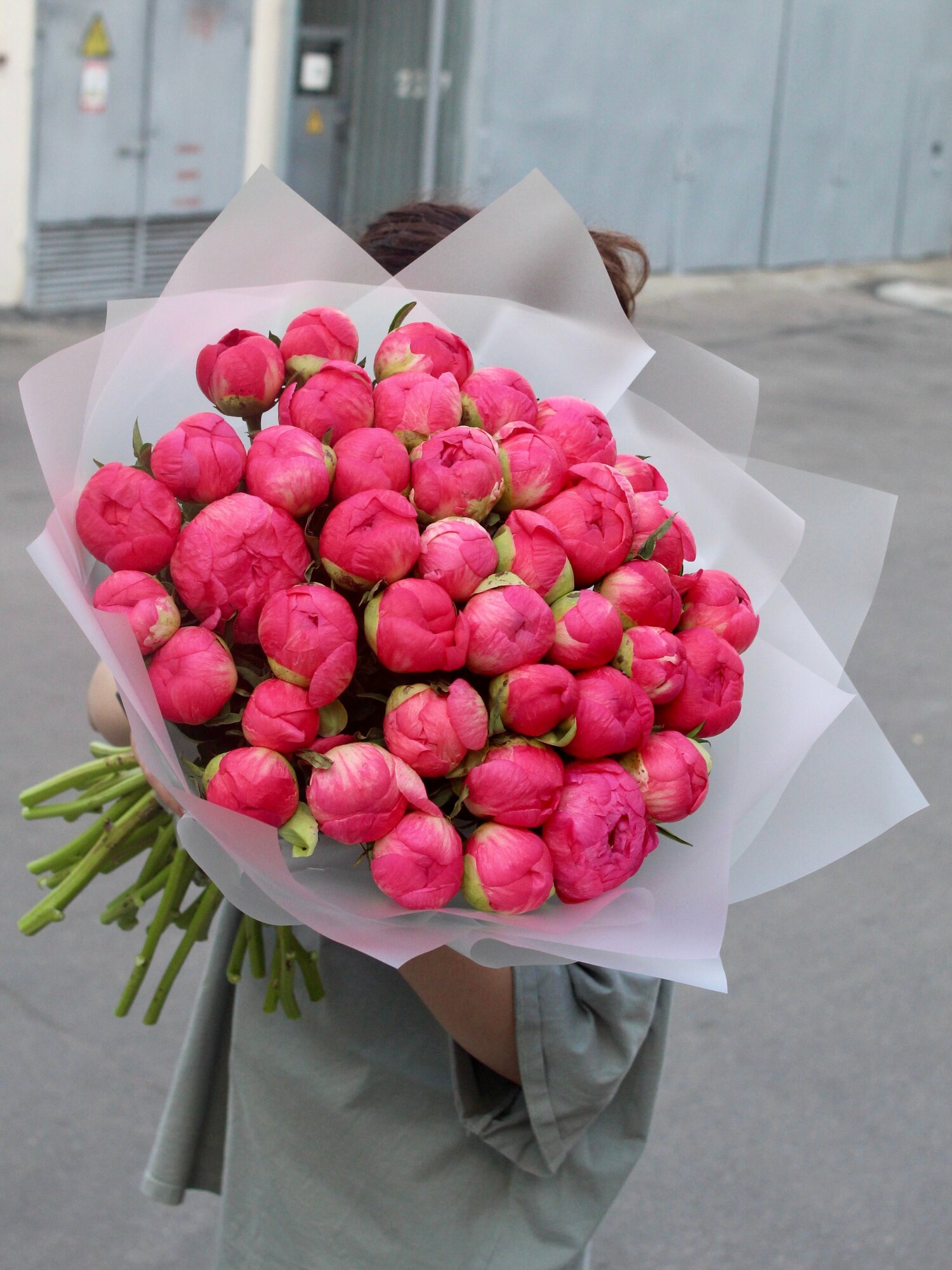 41 коралловый пион