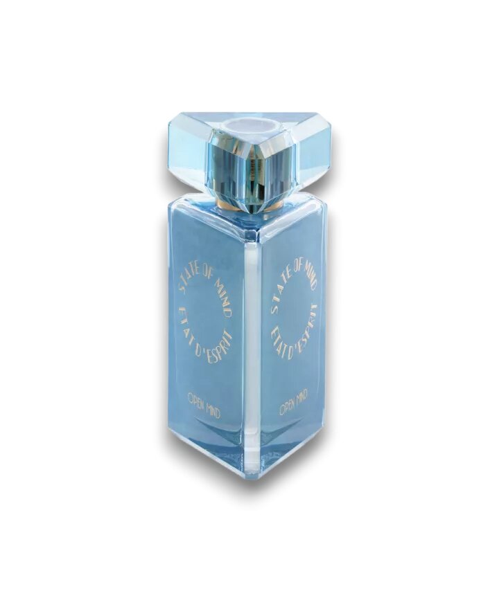Парфюмерная вода State Of Mind OPEN MIND 100 ml.