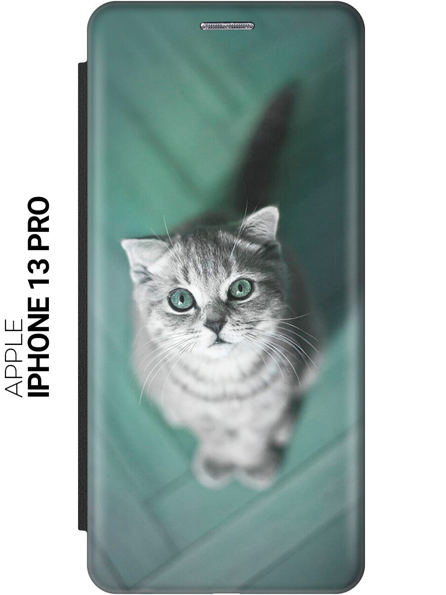 Чехол-книжка на Apple iPhone 13 Pro / Эпл Айфон 13 Про с рисунком "Котик на зеленом полу" черный