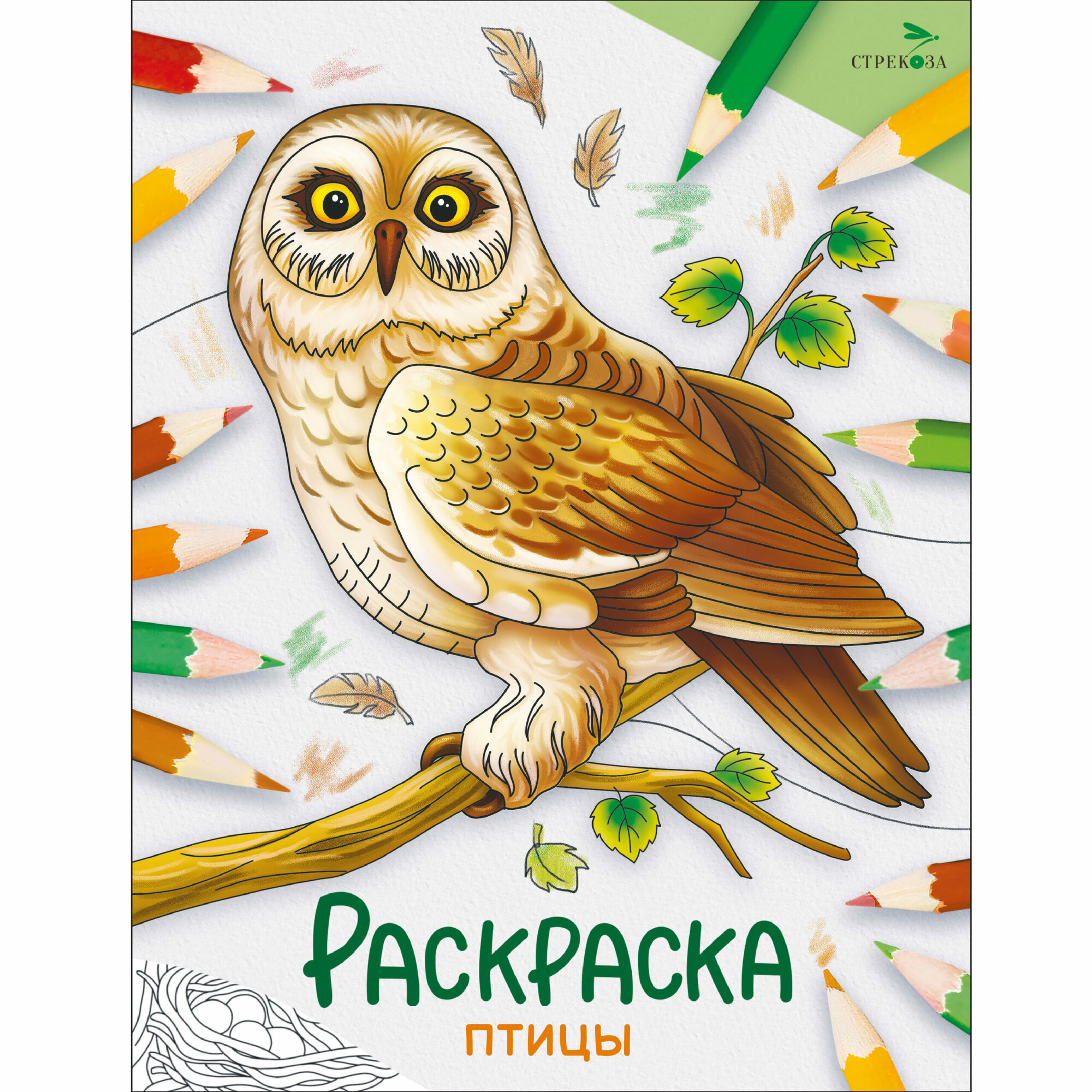 Птицы. Окружающий мир. Раскраска / Автор не указан