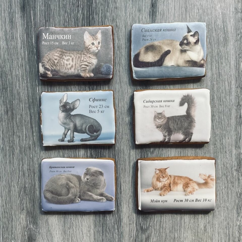 Пряник с печатью. Кошки.