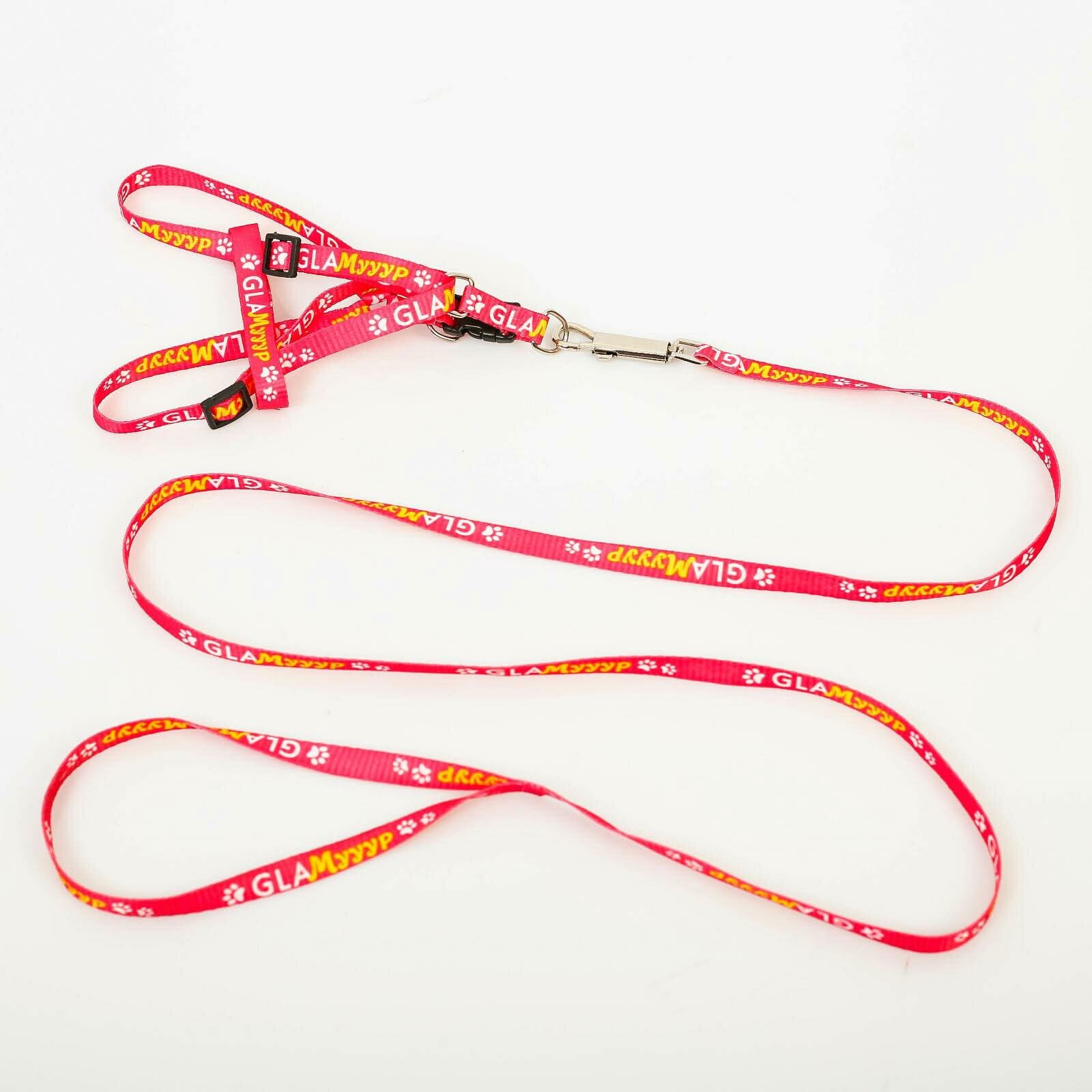 Комплект GlaМууур капрон 1 см 1 слойный, шлейка 26 39 см, поводок 120см