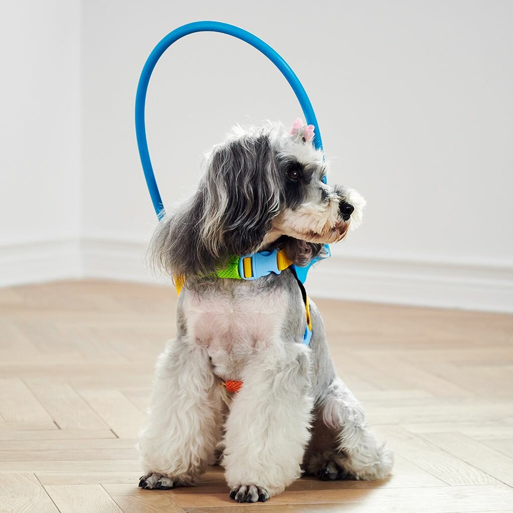 Ошейник для защиты домашних животных от слепых столкновений-M