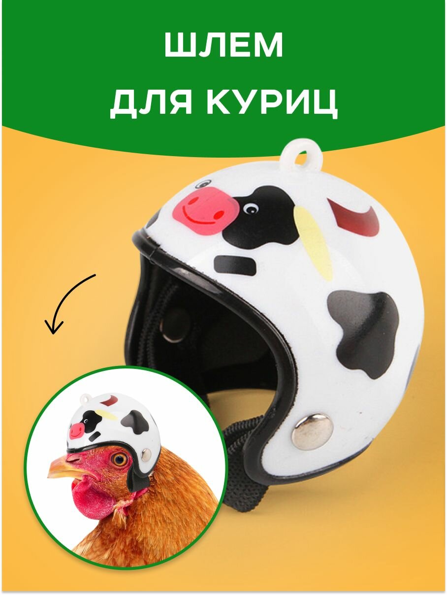 Шлем для кур