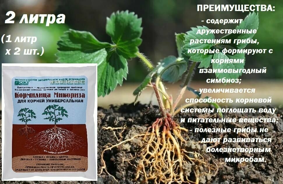 Стимулятор роста корней Кормилица Микориза 2 л (2 шт по 1 л). Универсальное удобрение . Защита растений от вредителей и болезней.