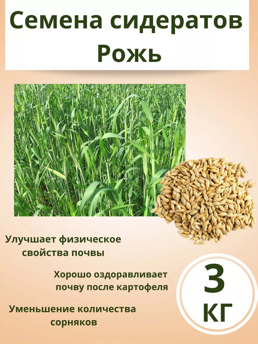 Семена сидератов Рожь 3кг