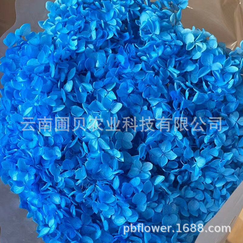 Подарочная коробка Flower Anna Hydrangea "Анна", вечный цветок, королевский синий цвет, 100 г