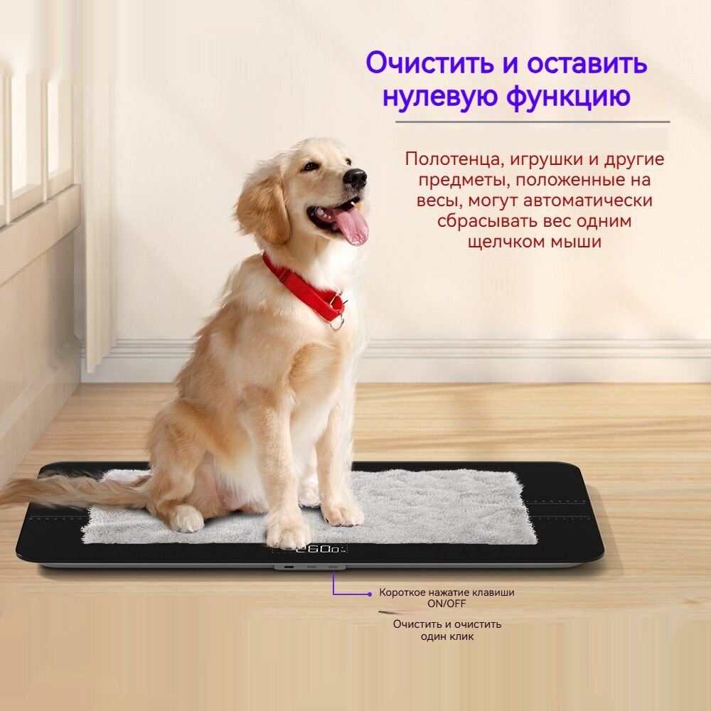 Весы Для Животных Kazanqi Bazar cwc-1, белое D+F