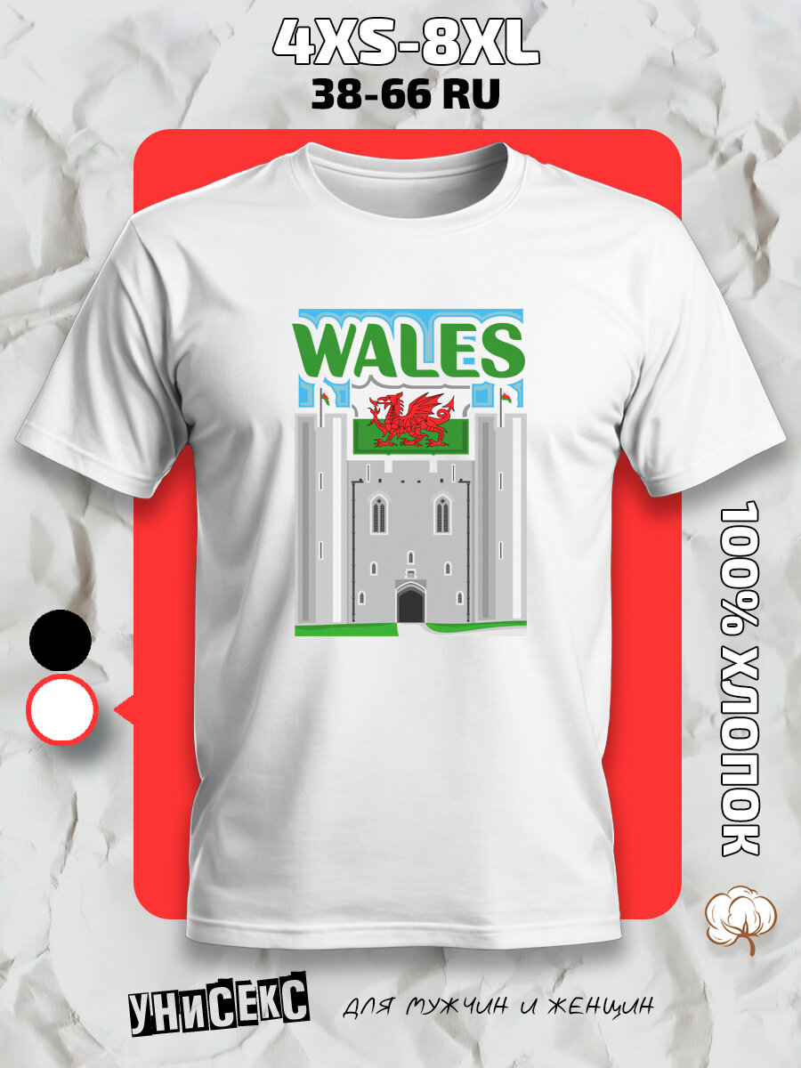 Футболка с принтом флагом Уэльса Wales замок