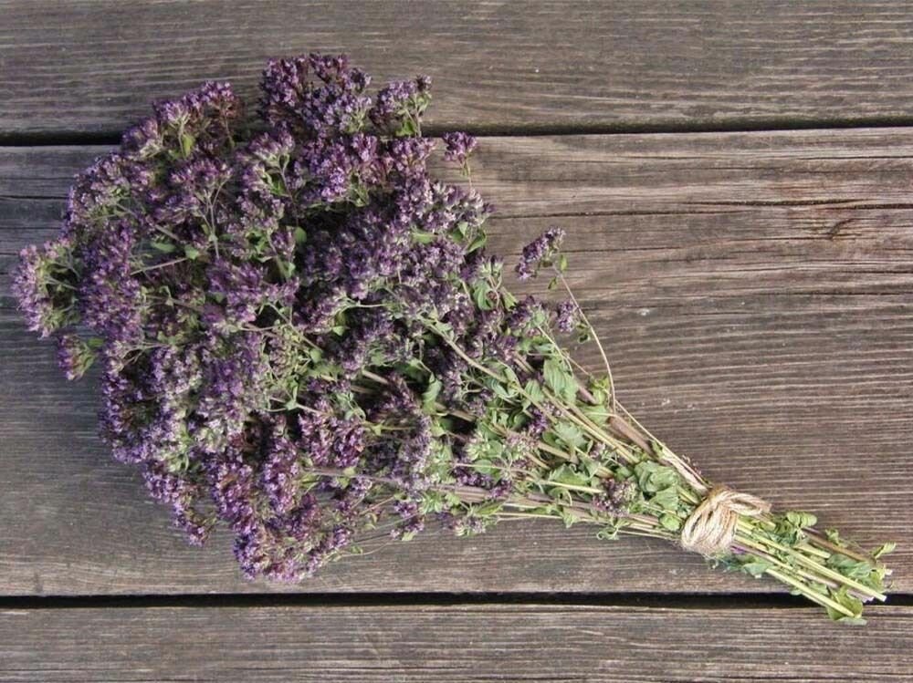 Банный веник "Иду в Баню" "Душица" (орегано) в пучках 1 штука.