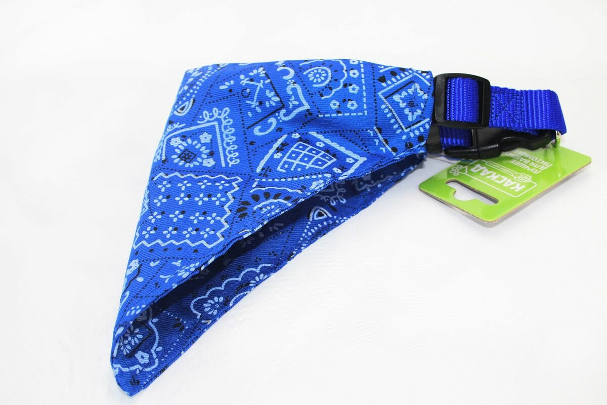 Ошейник нейлон с косынкой для кошек 15мм, обхват шеи 25-40см, синий, повседневный