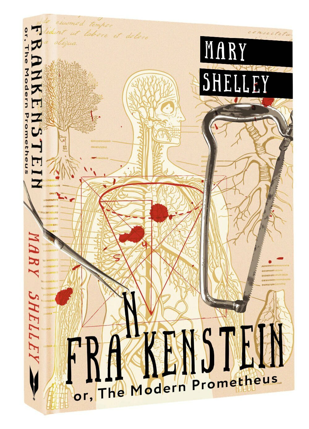 Frankenstein or, The Modern Prometheus — фото 1