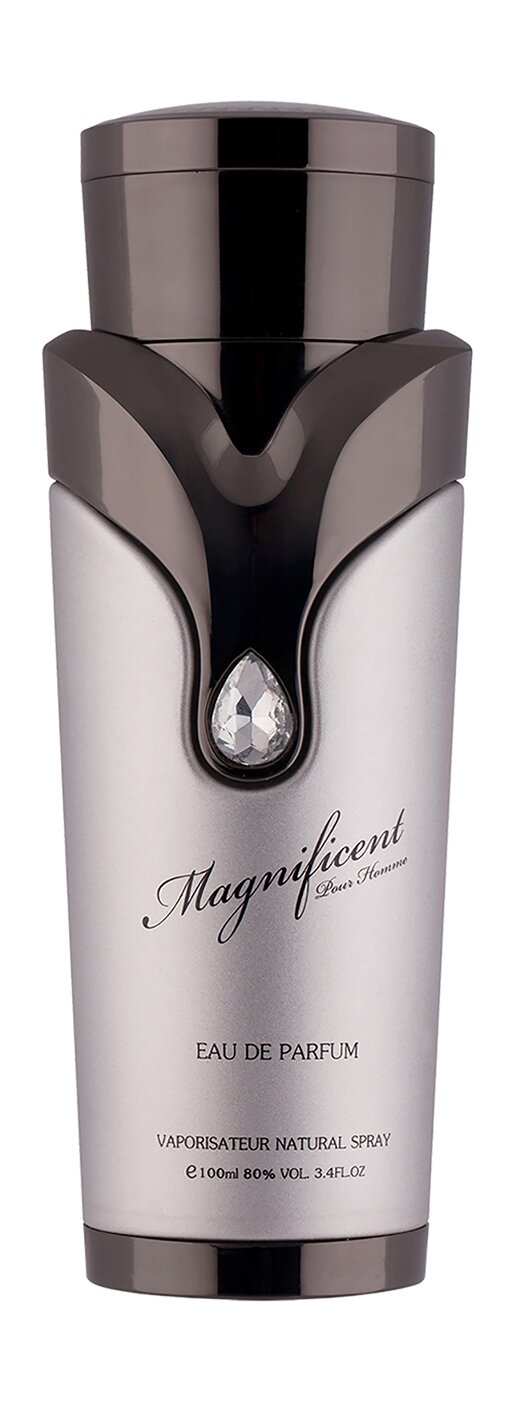 STERLING PARFUMS Armaf Magnificent Pour Homme Парфюмерная вода муж, 100 мл
