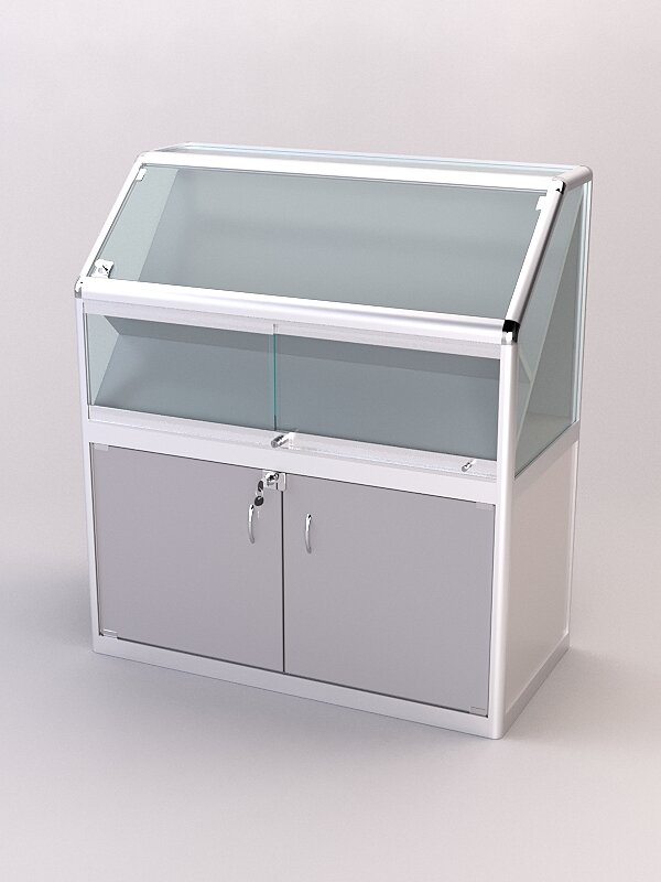 Витрина для музеев "ВС" №4, Серый. Производитель товара - компания Westcom.