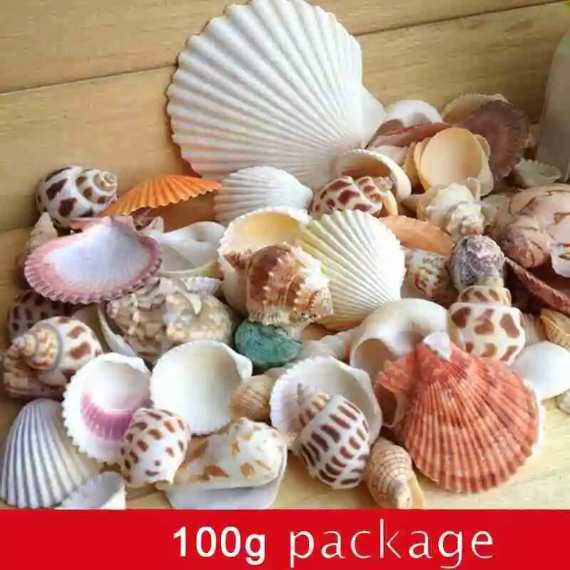 Морские ракушки, 100 г
