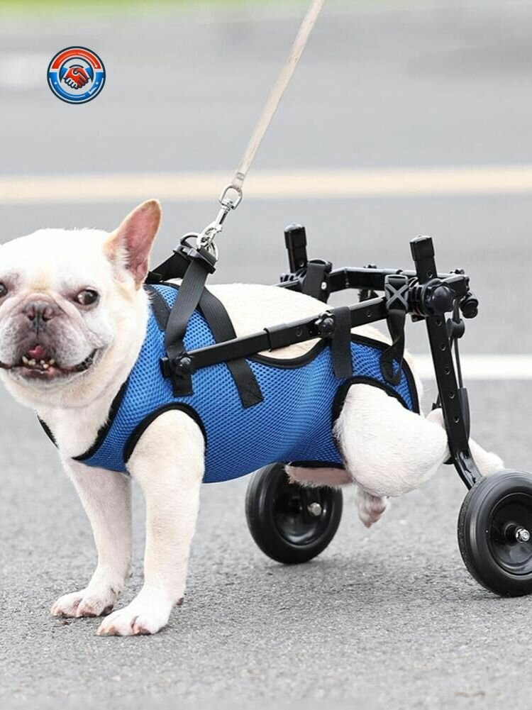Ходунки коляска для собак с регулируемым каркасом, легкая тележка для животных с ослабленными задними лапами, помощник в реабилитации питомца