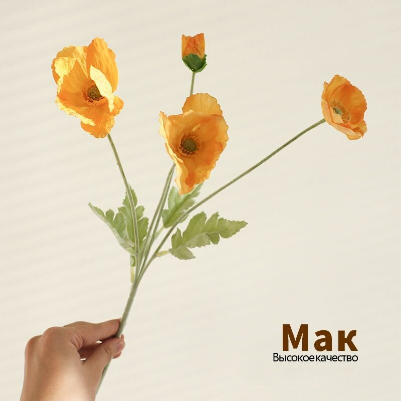 Стабилизированные цветы, Мак, 65 см, 5 стеблей