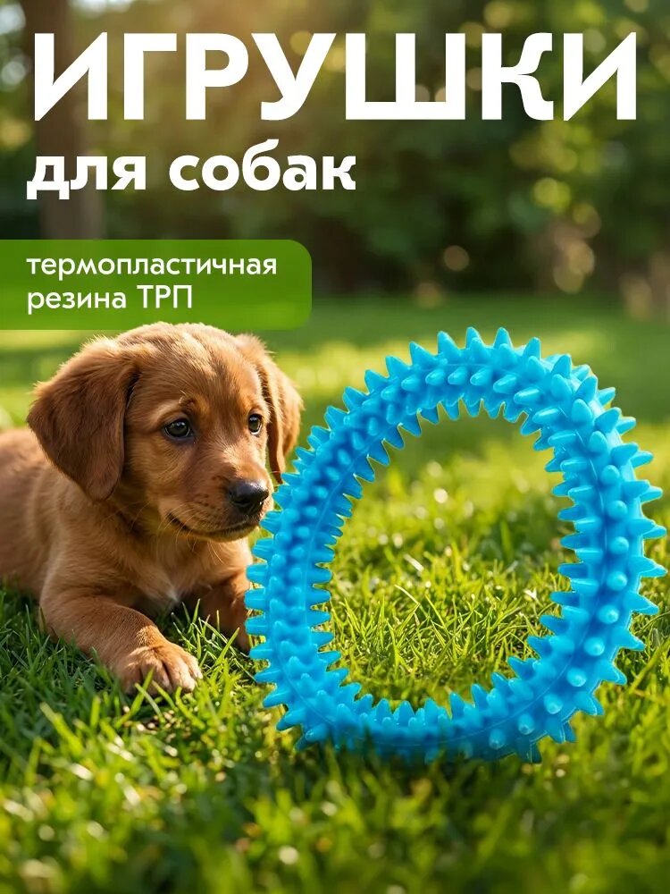 Игрушки для собак, пищалка пулер кольцо, для животных крупных и средних пород щенков резиновая.