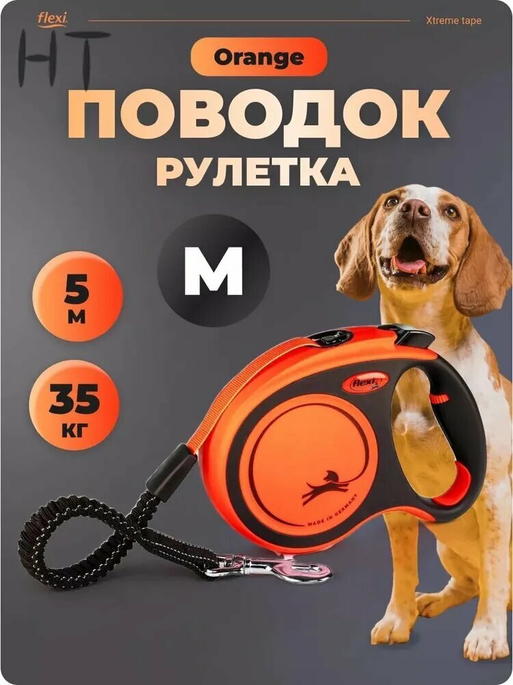 Поводок5