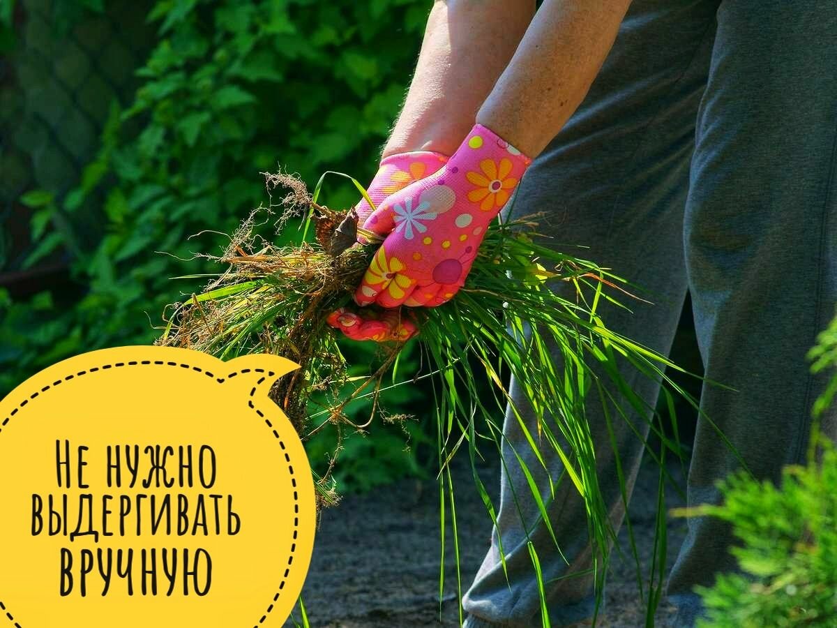 Концентрированный препарат для участка на 12 соток