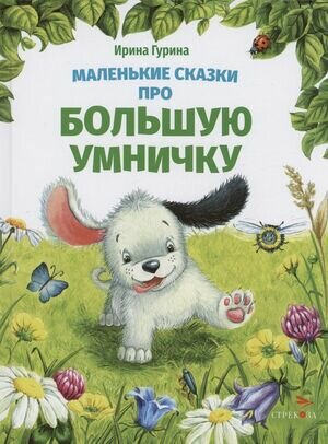 ДетХудЛит Гурина И. Маленькие сказки про большую умничку