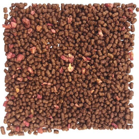 Чай гречишный Слон "Фрамбуаз" 100 г