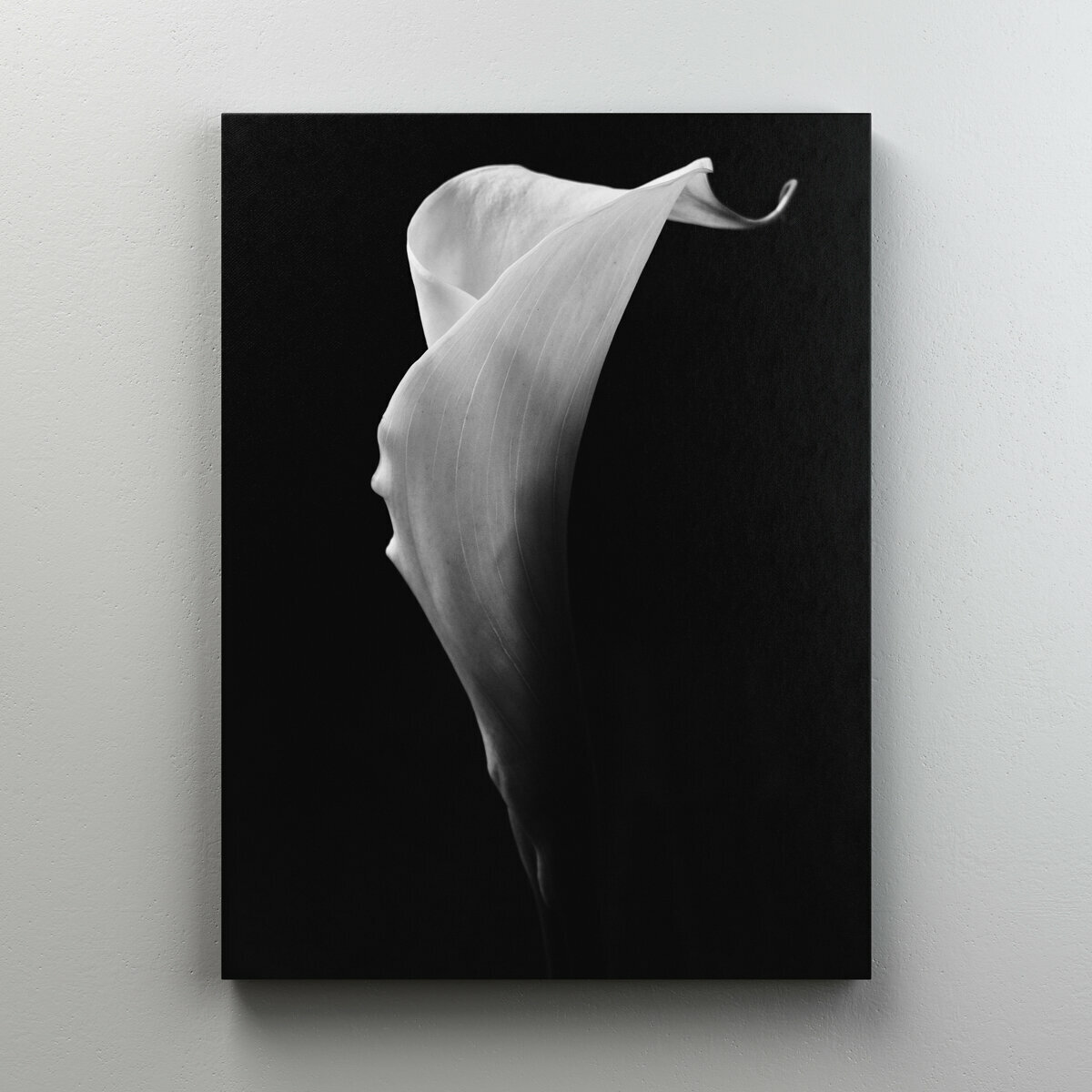 Интерьерная картина на холсте "Белый цветок" минимализм, размер 30x40 см