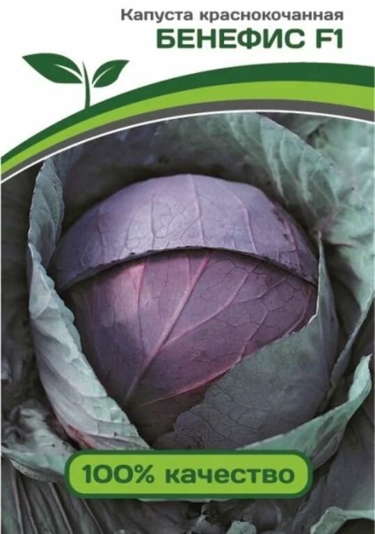 Коллекционные семена капусты к/к Бенефис F1