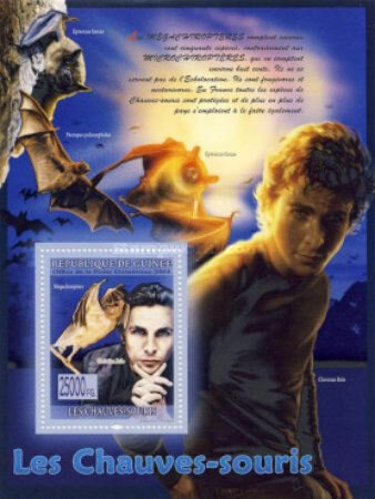 Почтовые марки Гвинея 2008г. "Фауна - Летучие Мыши - Кристиан Бейл" Летучие мыши, Актеры MNH