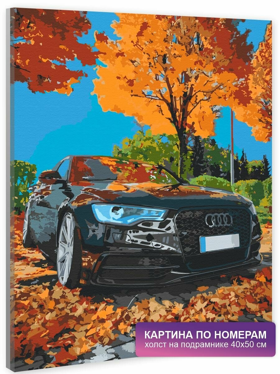 Картина по номерам на холсте с подрамником 40х50 см. Автомобиль, машина. "Audi RS6", арт. 4552/