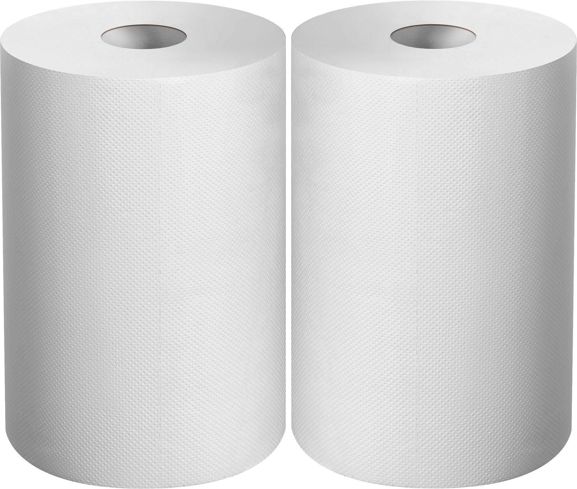 ЗУБР 20 х 25 см, 2-х слойная, в рулоне, 400 листов, 2 рулона, протирочная бумага, Профессионал (12822-20)