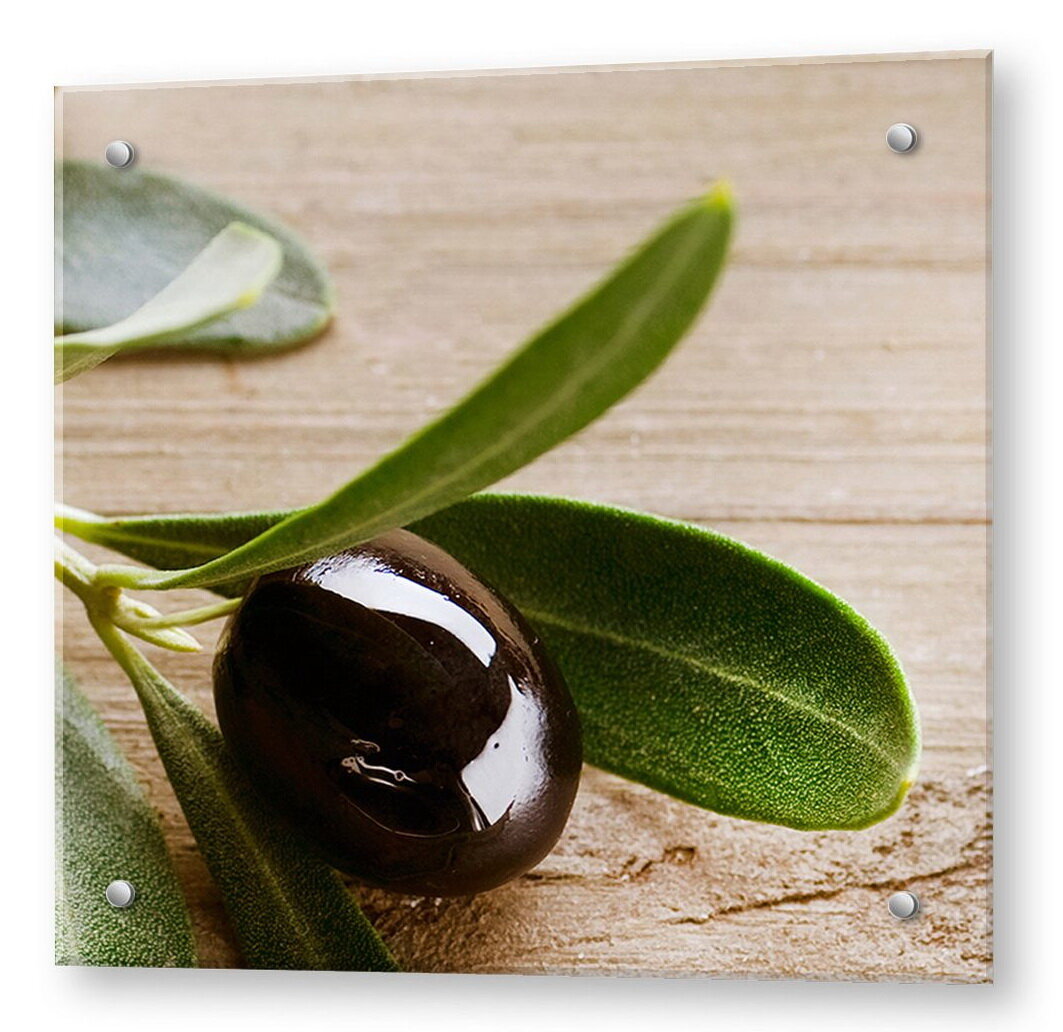 Кухонный экран из закаленного стекла "ветки маслин" - (600х600х4 мм)