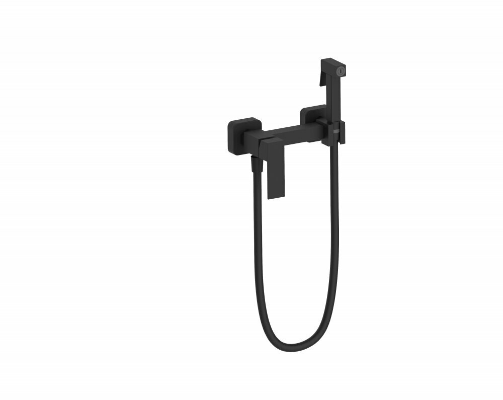 Смеситель однорычажный с гигиенической лейкой из латуни от бренда Vieir V362552-C черный