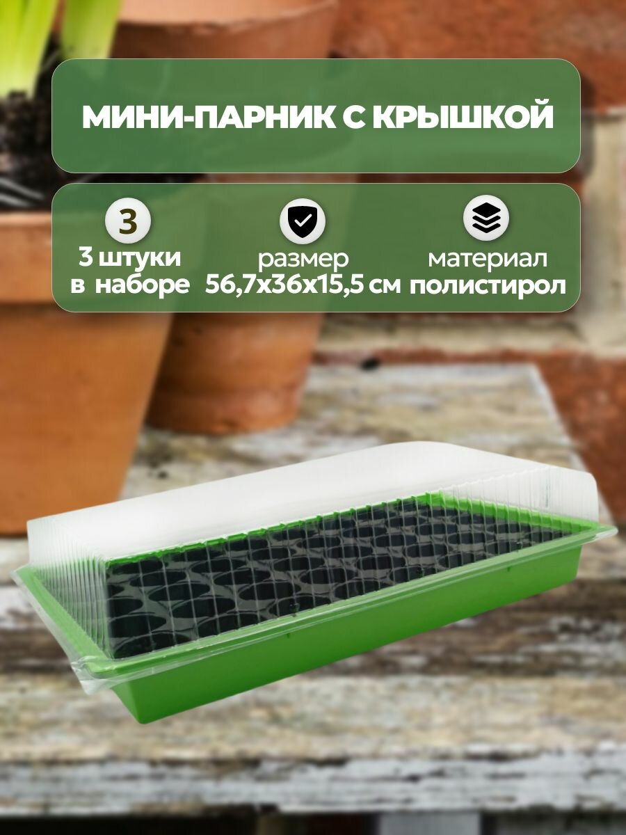 Парник для рассады, с крышкой 3 шт, 57х36х15.5 см (поддон, кассета на 40 ячеек). Портативная тепличка предназначена для выращивания рассады, кактусов или микрозелени