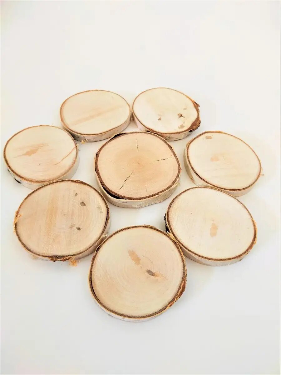 Спилы березовые диаметром 6-8 см.(8 шт)