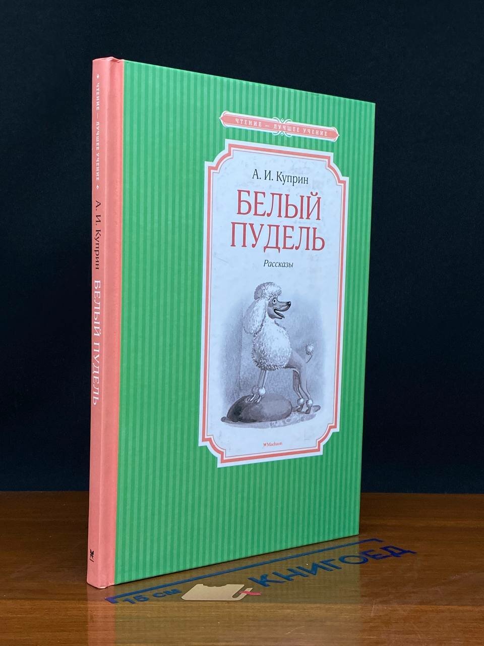 Книга. Белый пудель 2020 (2043373127750)