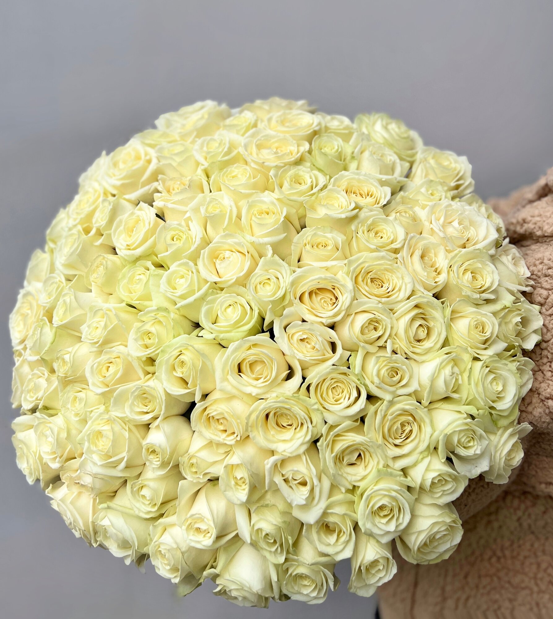 Букет 5 Цветов "Роза белая", 95 цветков, высота 50см, монобукет, Россия