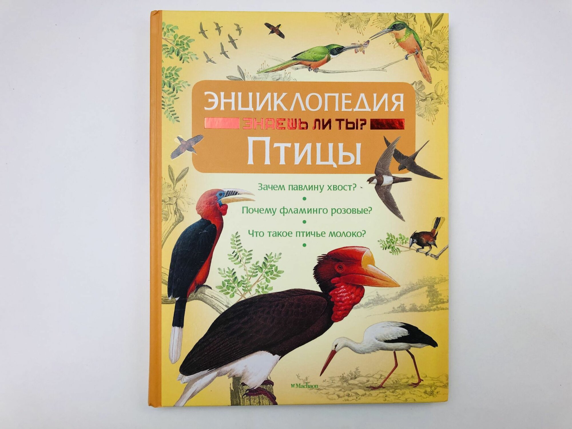 Птицы. Энциклопедия. Знаешь ли ты?