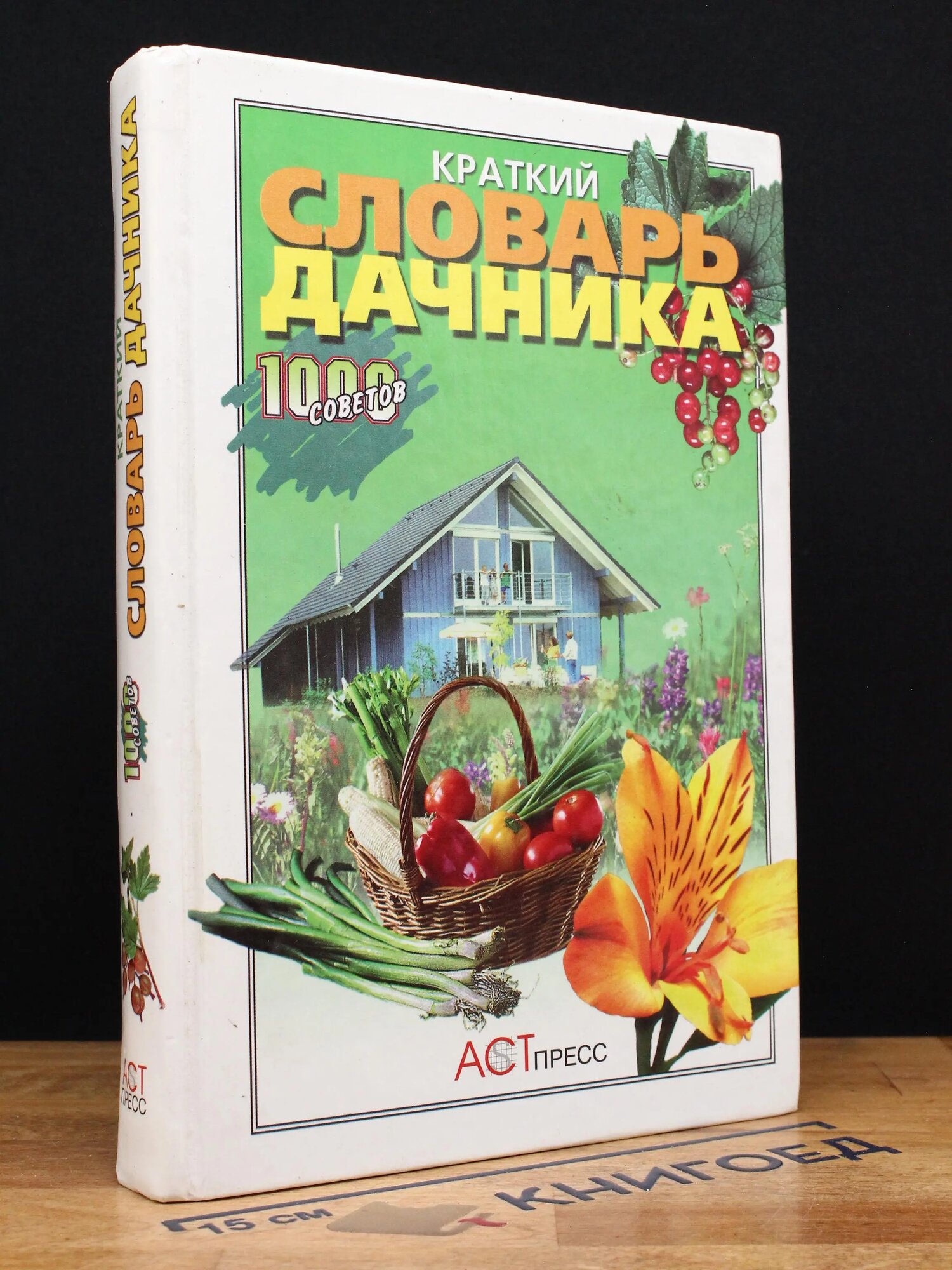 Книга. Краткий словарь дачника 2002 (2046240870131)