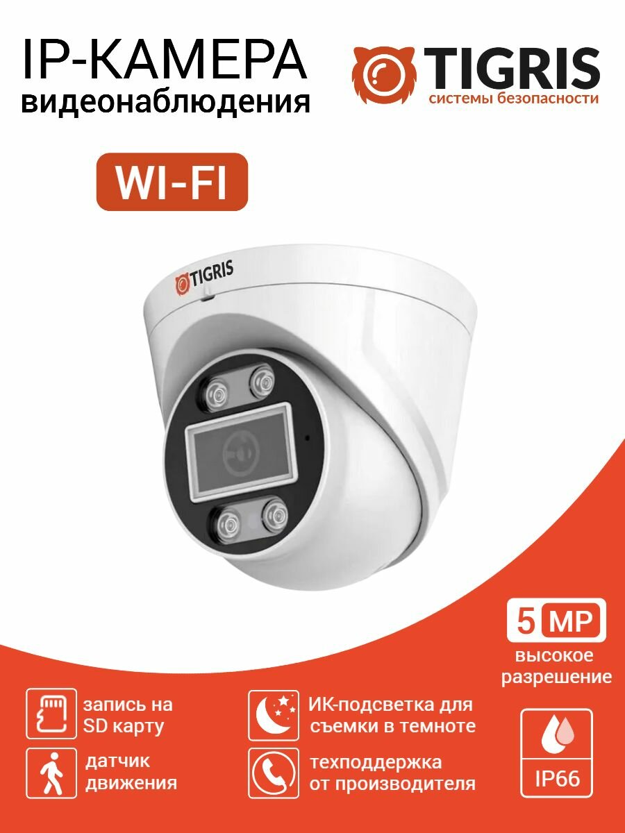 Купольная уличная WI-FI камера видеонаблюдения TI-VP5MW с микрофоном и записью на SD-карту