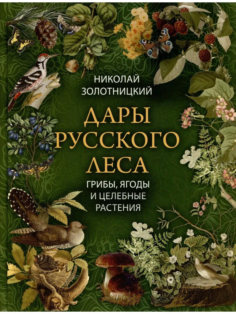 Дары русского леса. Грибы, ягоды и целительные растения