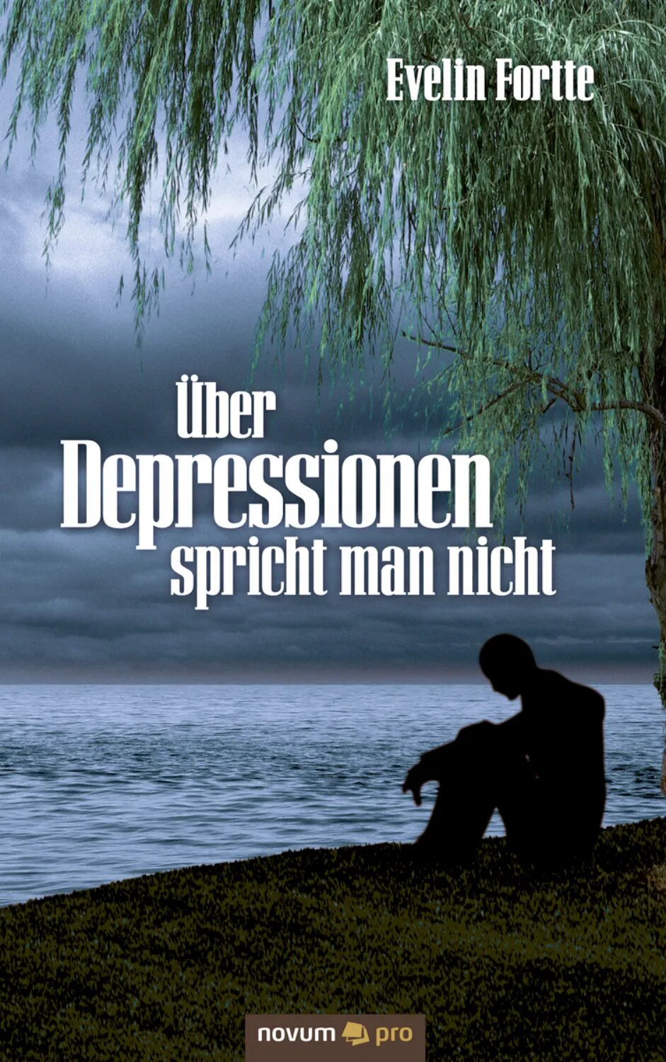Über Depressionen spricht man nicht [Цифровая книга]